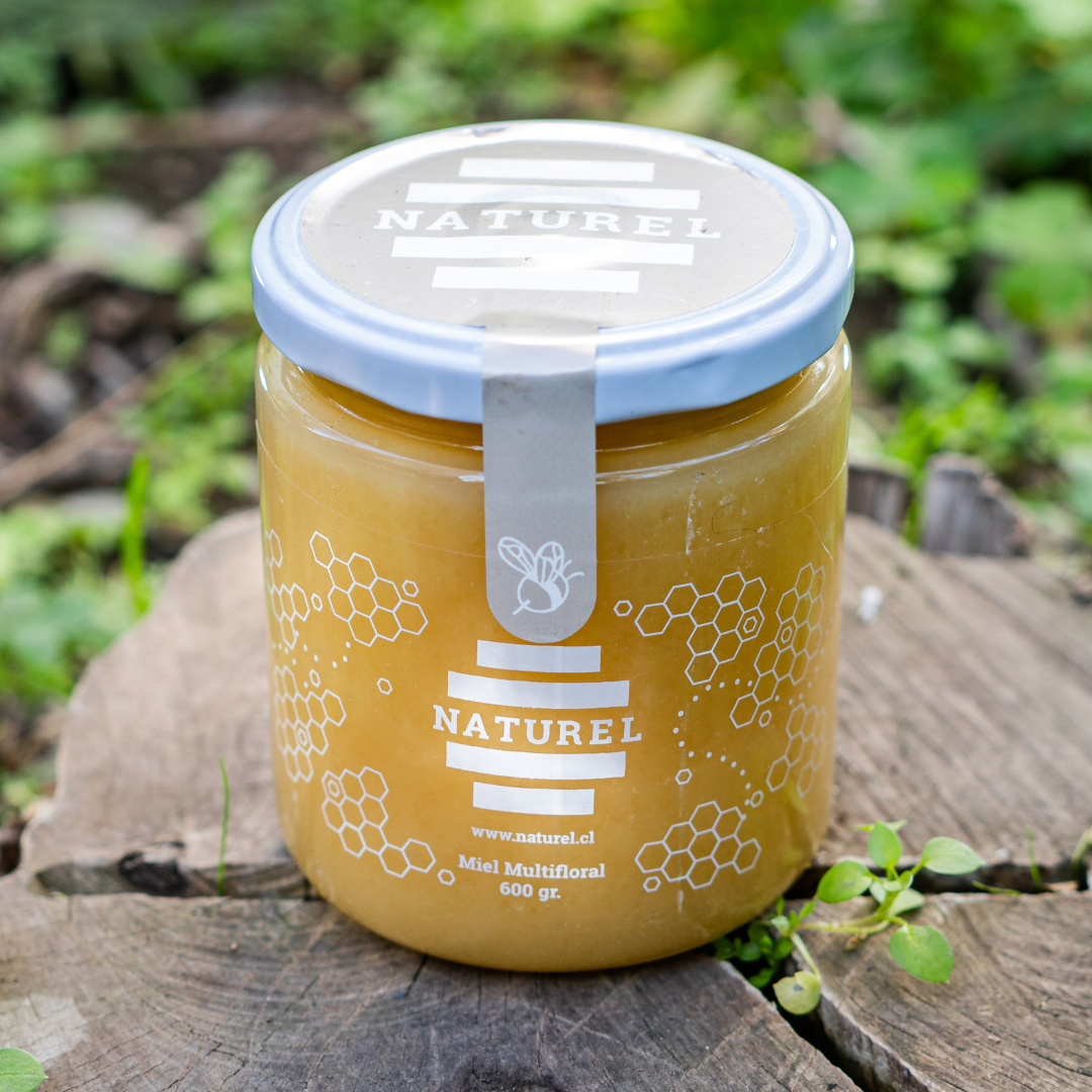 Miel Multifloral 600grs – NATUREL