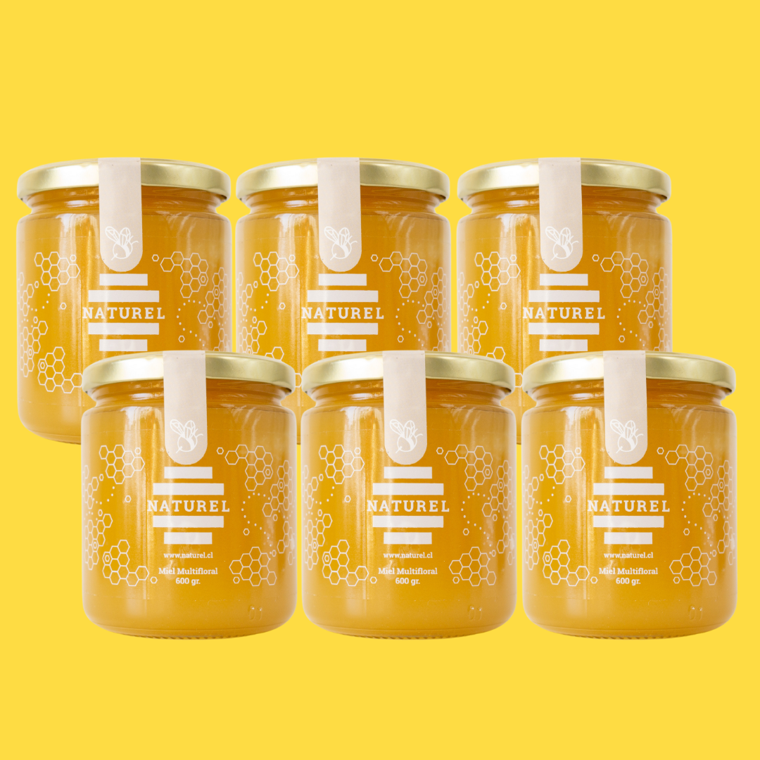 Pack 6 mieles Multifloral 600gr – NATUREL